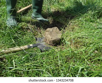 Collection Soil Sample Stock Photo 1343234708 | Shutterstock