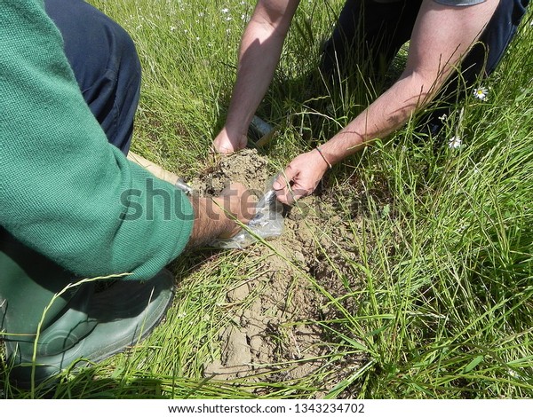 Collection Soil Sample Stock Photo 1343234702 | Shutterstock
