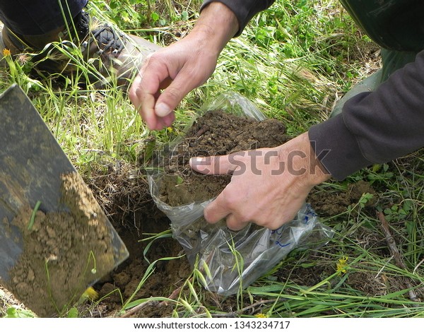 Collection Soil Sample Stock Photo 1343234717 | Shutterstock
