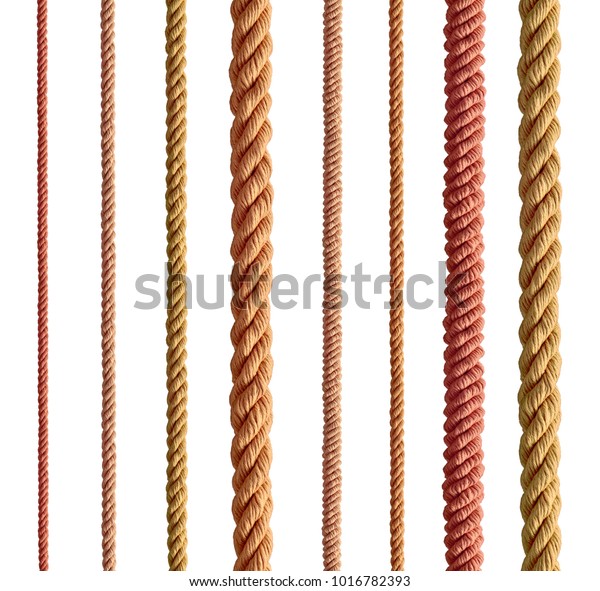 Collection Various Ropes String On White Stock Photo 1016782393 ...
