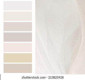Color Chart Selection Interior Stock Photo (Edit Now) 213427453
