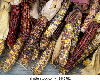 Colored Corn Stock Photo 42895981 | Shutterstock