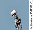 197+ Thousand Evil Skeleton Royalty-Free Images, Stock Photos ...