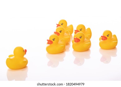 403 Duck commander Images, Stock Photos & Vectors | Shutterstock