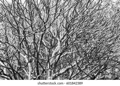 15 Kidney Maze Images, Stock Photos & Vectors | Shutterstock
