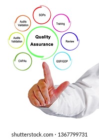 97 Gsp On Point Images, Stock Photos & Vectors | Shutterstock