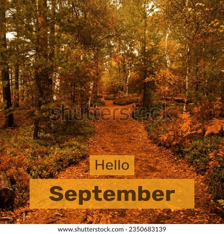 Composite of Hello September Text Over Autumn Trees Image - cg2p350683139s