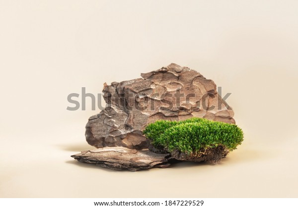 54,626 Stone Bark Images, Stock Photos & Vectors | Shutterstock