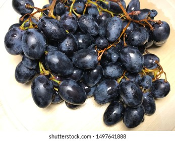 1,558 imágenes de Grape kernel - Imágenes, fotos y vectores de stock ...