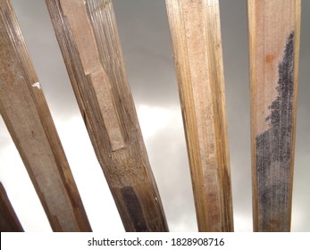 Composition Color Texture Split Bamboo Stock Photo 1828908716 ...