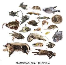 206 Rotten Organs Images, Stock Photos & Vectors | Shutterstock