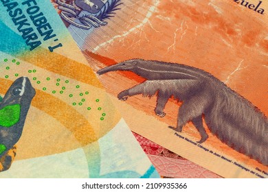 1,852 Exotic currencies Images, Stock Photos & Vectors | Shutterstock