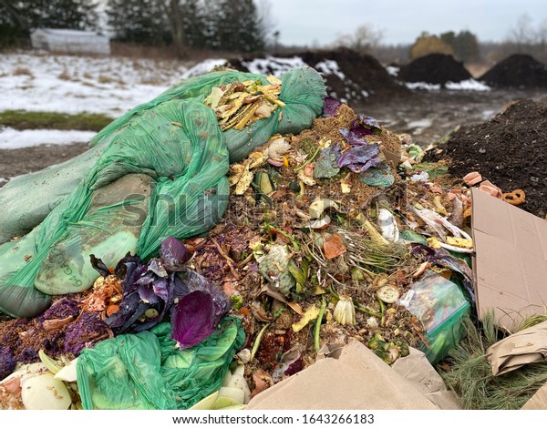 Compost Materials Ready Decomposition Stock Photo (Edit Now) 1643266183