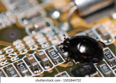 Stock Photo and Image Portfolio by Emre Unluturk | Shutterstock