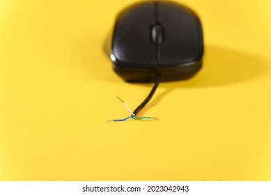 1,418 Broken mouse Stock Photos, Images & Photography | Shutterstock