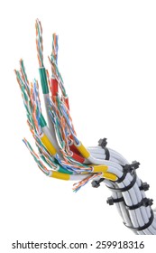272 Stripped ethernet cable Stock Photos, Images & Photography ...