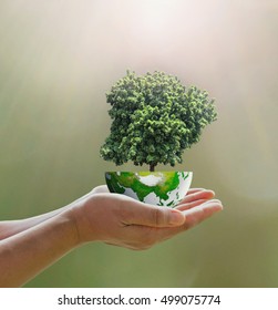 Concept Hands World Tree Stock Photo 499075774 | Shutterstock