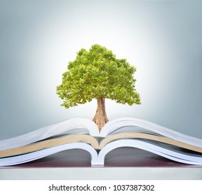 Concept Knowledge Open Book Tree On Stock Photo 1037387302 | Shutterstock