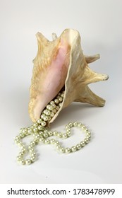 Conch Shell String Pearls Stock Photo 1783478999 | Shutterstock