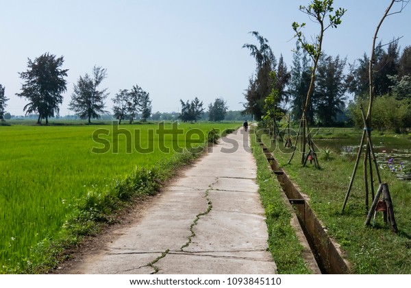 Concrete Path Between Paddy Fields Drain Stock Photo 1093845110 ...