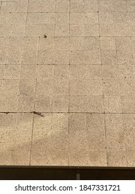 Concrete Wall Reference Background Texture Stock Photo 1847331721 ...