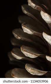 Cone Side View Stock Photo 1134053906 | Shutterstock