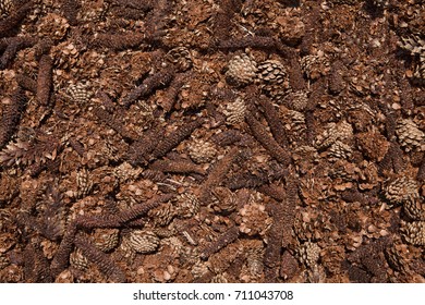 Cones Texture Background Full Cones Different Stock Photo 711043708 ...