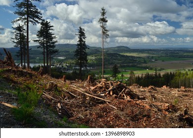 Conflicts Between Destructive Human Practices Nice Stock Photo ...
