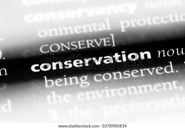 Conservation Word Dictionary Conservation Concept Stock Photo ...