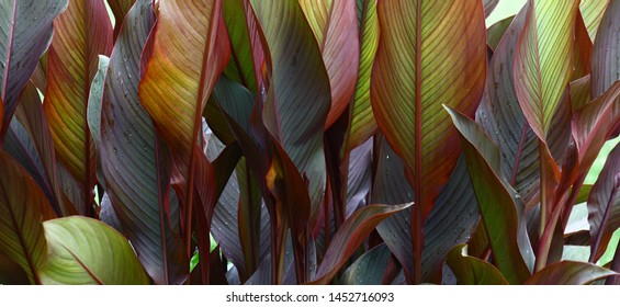 219 Background Considerable Quantity Images, Stock Photos & Vectors ...