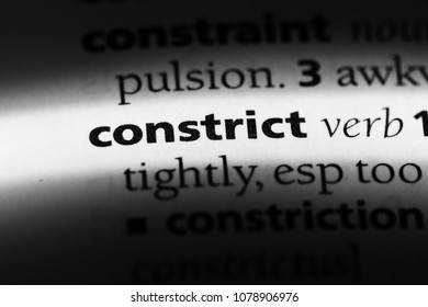 Better Word Dictionary Better Concept Stock Photo 1065044153 | Shutterstock