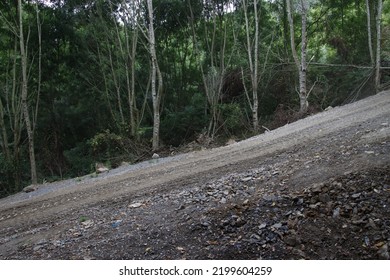 Construction Road Forest Stock Photo 2199604259 | Shutterstock