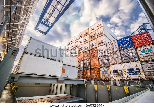 Container Cargo Transfer Operation Stock Photo 560326447 | Shutterstock