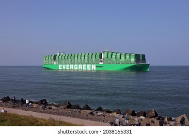 1,117 Evergreen a class Images, Stock Photos & Vectors | Shutterstock