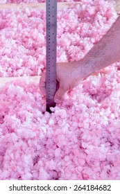 872 Insulation Ruler Images, Stock Photos & Vectors | Shutterstock