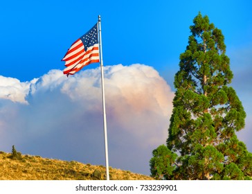 Controlled Fire Sends Smoke Cloud Behind Stock Photo 733239901 ...