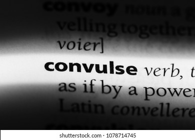 Convulse Word Dictionary Convulse Concept Stock Photo 1078714745 ...