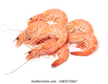 Cooked Shrimp Full Shell Isolated On Stock Photo 1483173467 | Shutterstock