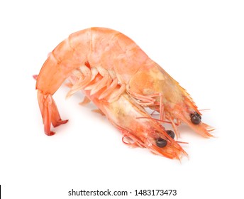 Cooked Shrimp Full Shell Isolated On Stock Photo 1483173473 | Shutterstock