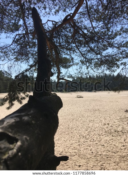 Cool Down Shadow Stock Photo 1177858696 | Shutterstock