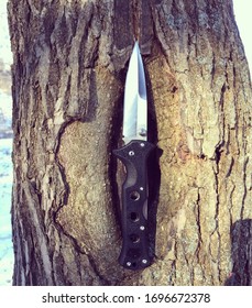 Cool Mini Folder Dagger Knife Stock Photo 1696672378 | Shutterstock
