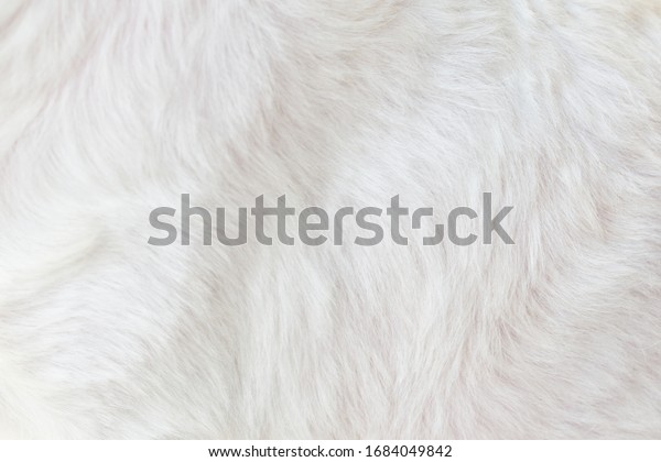 Cool White Background Abstract Pattern Closeup Stock Photo (Edit Now ...
