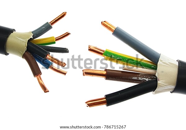 Copper Electric Power Cable Assemblies Pvc Stock Photo (Edit Now) 786715267