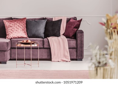 1,301 Copper sofa Images, Stock Photos & Vectors | Shutterstock