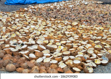 Copra Drying Process Dried Coconut Seeds Stock Photo 1862939083 ...