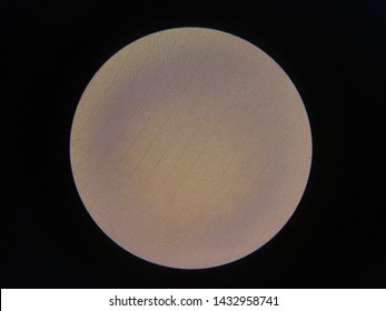 Core Eprom Memory Chip Under Microscope Stock Photo (Edit Now) 1432958741