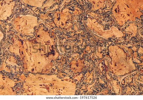 Cork Tile Texture Sample Featured Abstract Stock Photo 197617526 ...