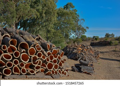Cork Cork Tree Bark Stacked Processing Stock Photo 1518457265 ...