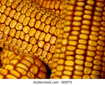 Stock Photo and Image Portfolio by Andrei Contiu | Shutterstock