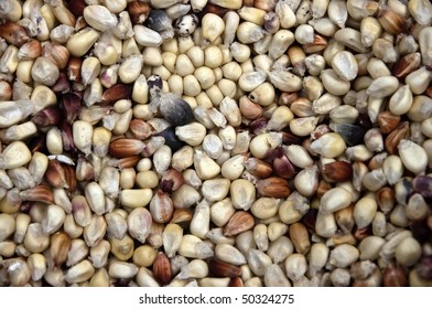 93 Peruvian popcorn Images, Stock Photos & Vectors | Shutterstock